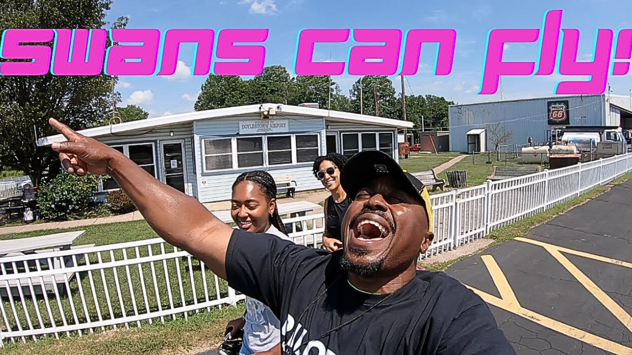 Swans can fly back to Doylestown Airport