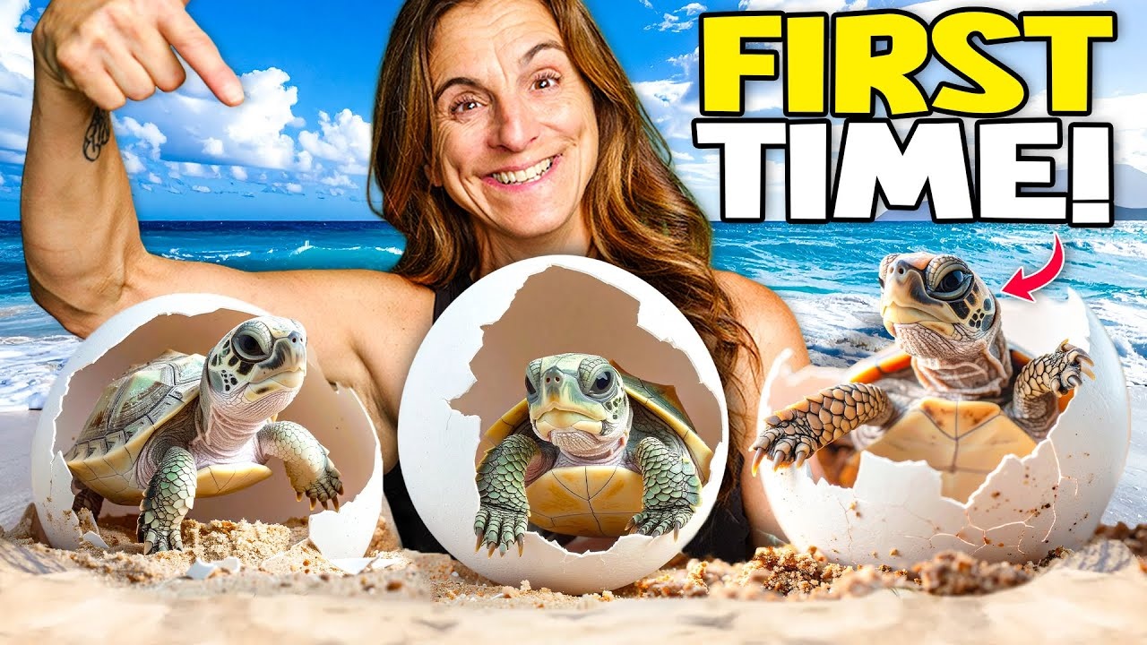 The first successful turtle hatch highlights a legacy of “learning by ...