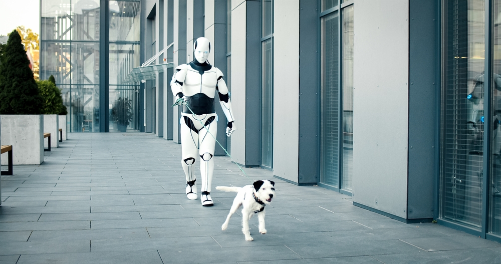 Meet the robot designed to entertain your pets all day long
