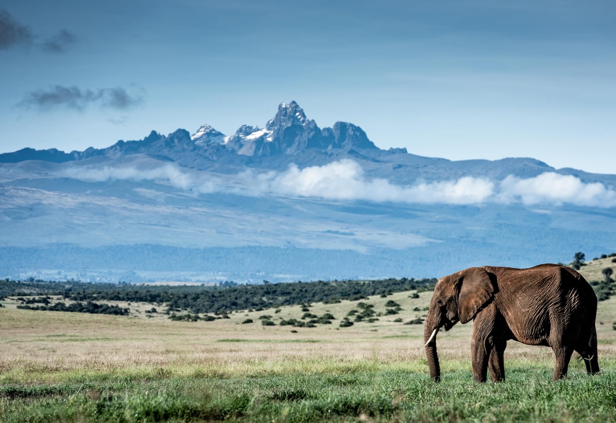 The ultimate safari guide: from Kenya to Rwanda