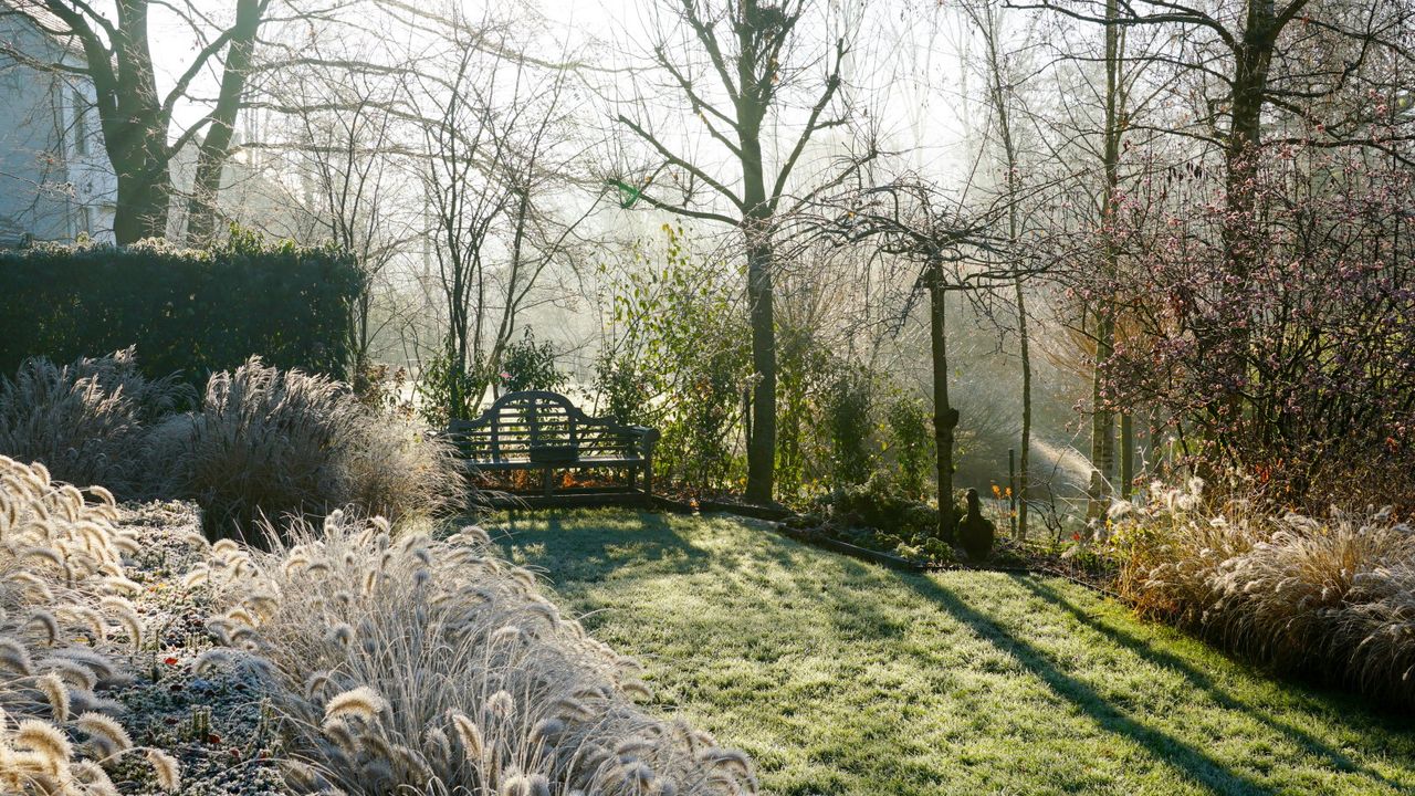 Frost heave is a winter phenomenon that can kill plants, but it can be ...