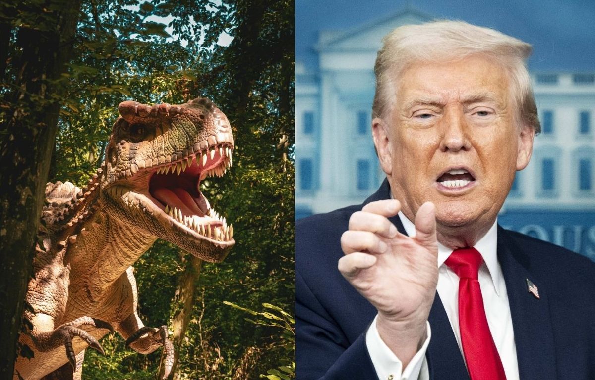 Donald Trump : « C’est un T-Rex »… Peut-on vraiment comparer le ...