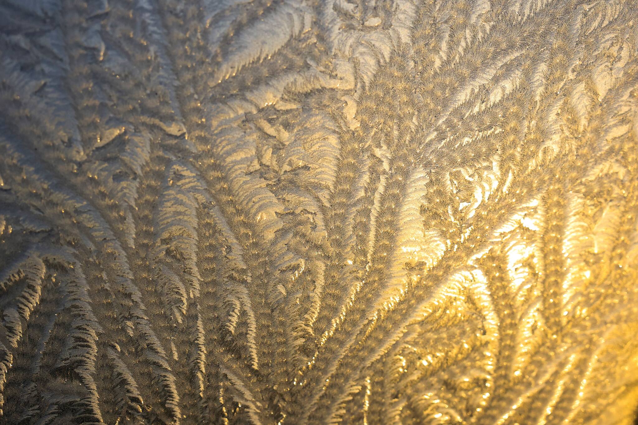Bis minus zwölf Grad: Sonnenschein und strenger Frost in Sachsen erwartet