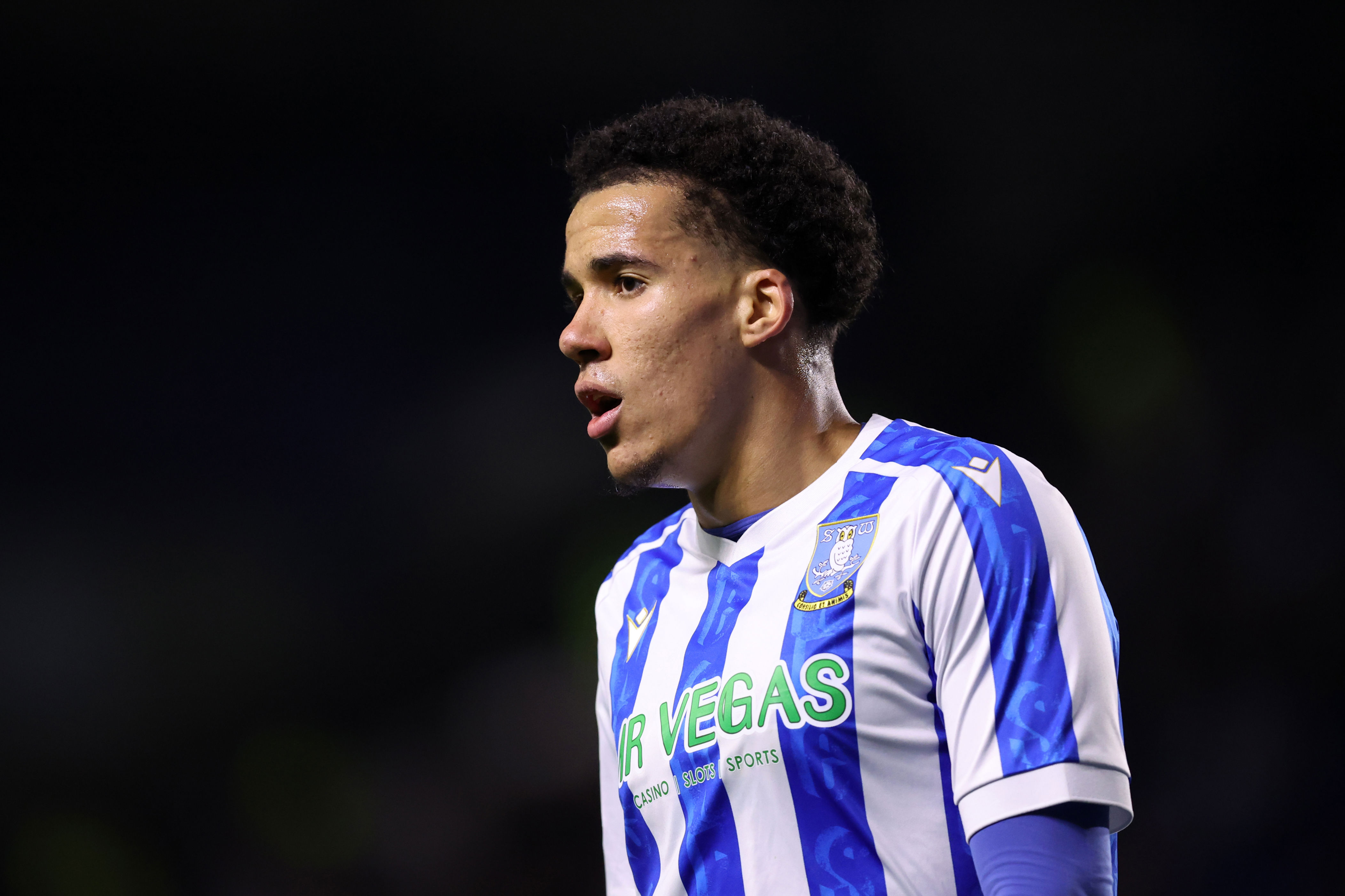 'Wow' - Sheffield Wednesday boss Henrik Pedersen makes prediction about ...
