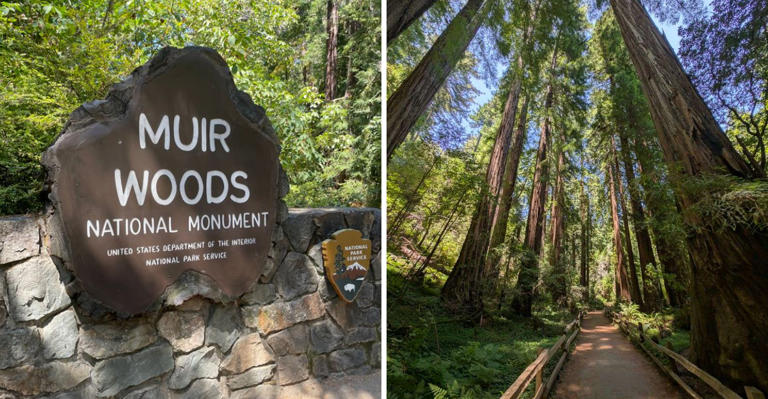 This easy 2.0-mile hike in California is so beautiful, you’ll be ...