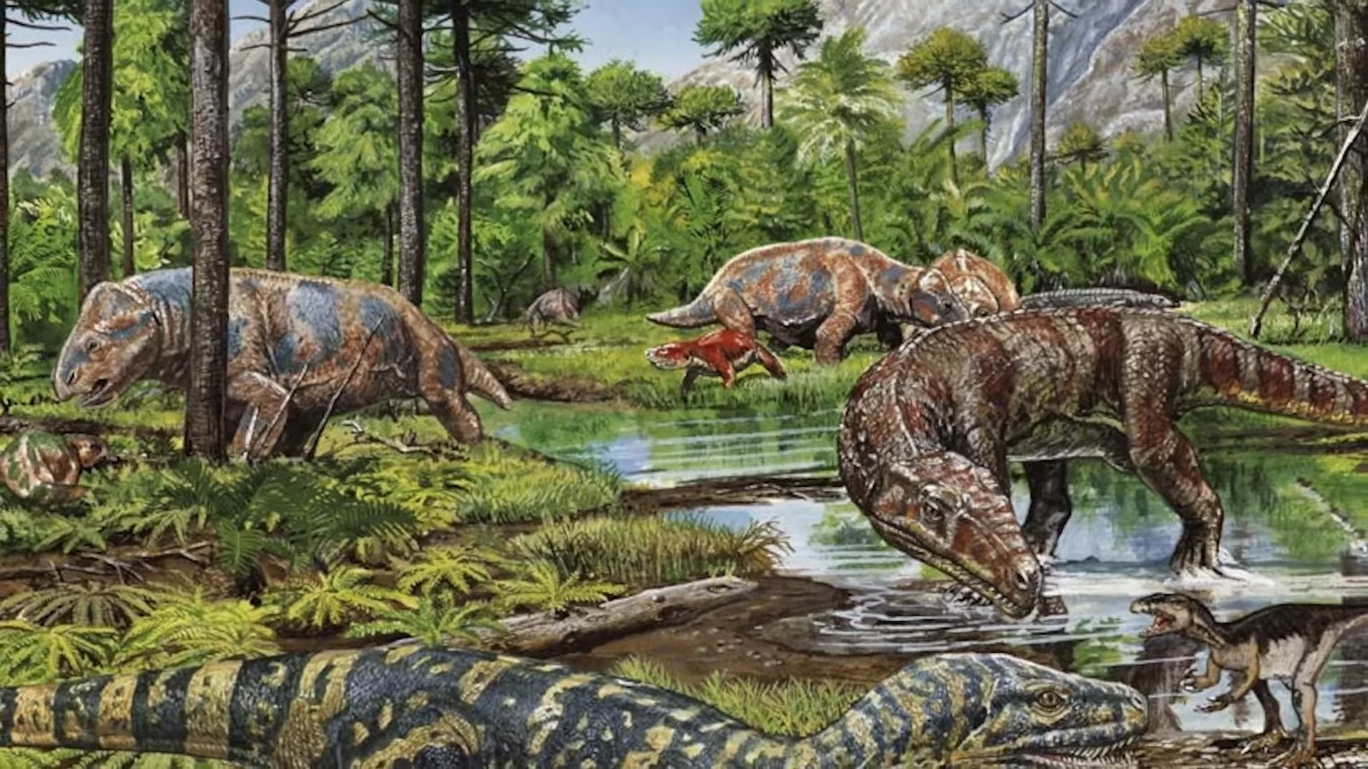 What British fossils reveal - and what they still fail to explain