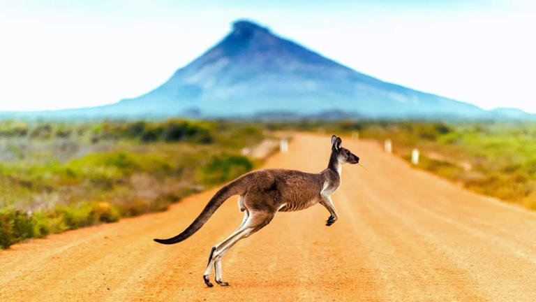 Which country is both a continent and a country, and has summer in ...