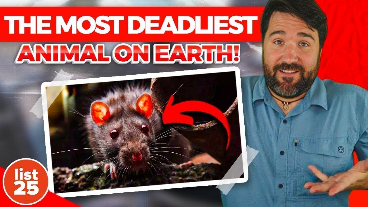 25 fascinating facts that will amaze and terrify you at the same time