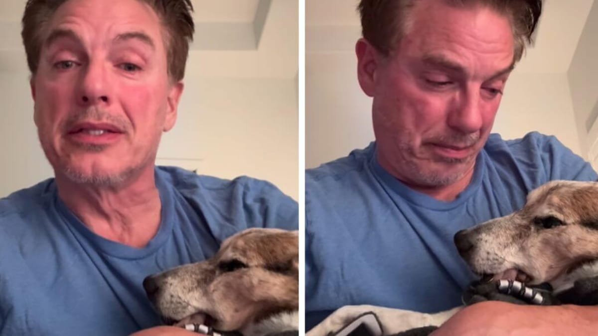 John Barrowman shares emotional farewell after beloved dog dies in his arms