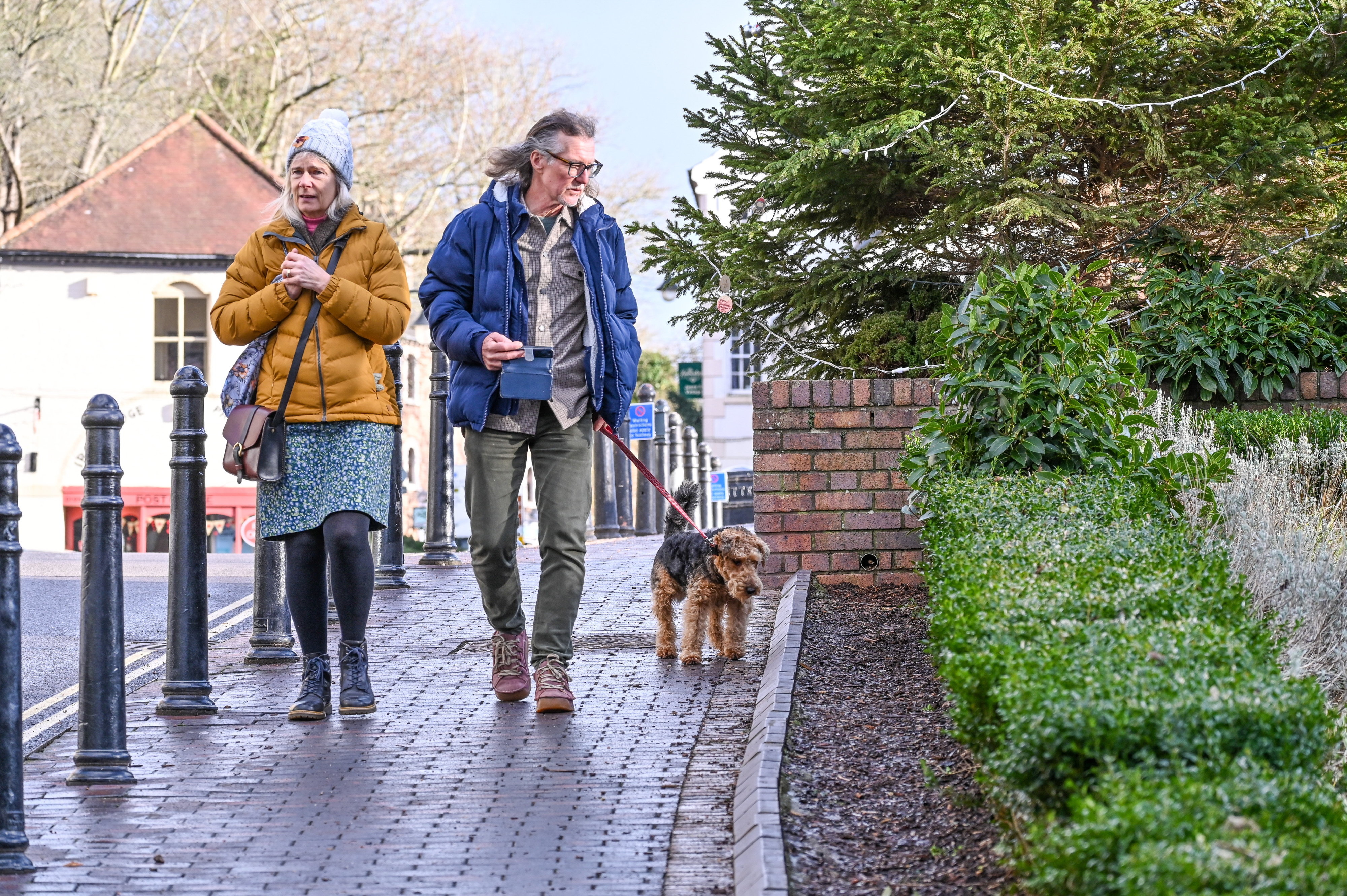 This West Midlands town is the UK’s dog capital with highest proportion ...