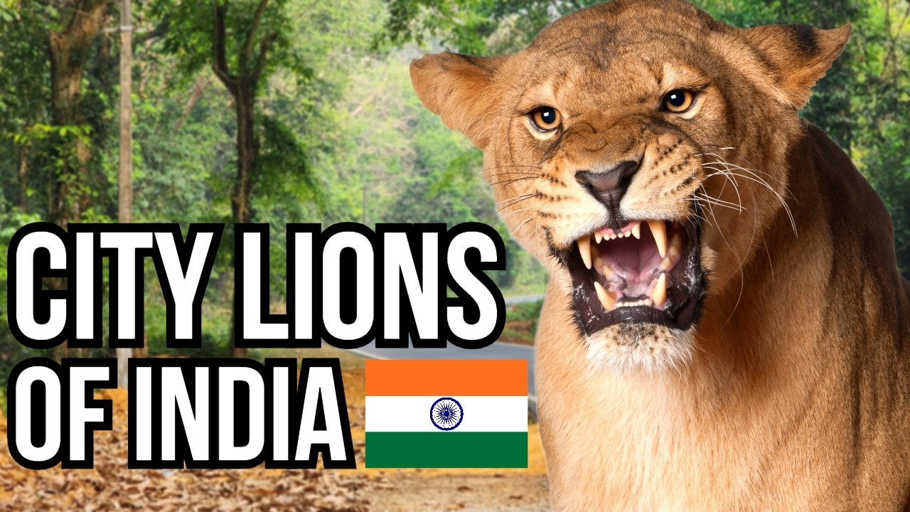 Garbage bins and backyards become new hunting grounds