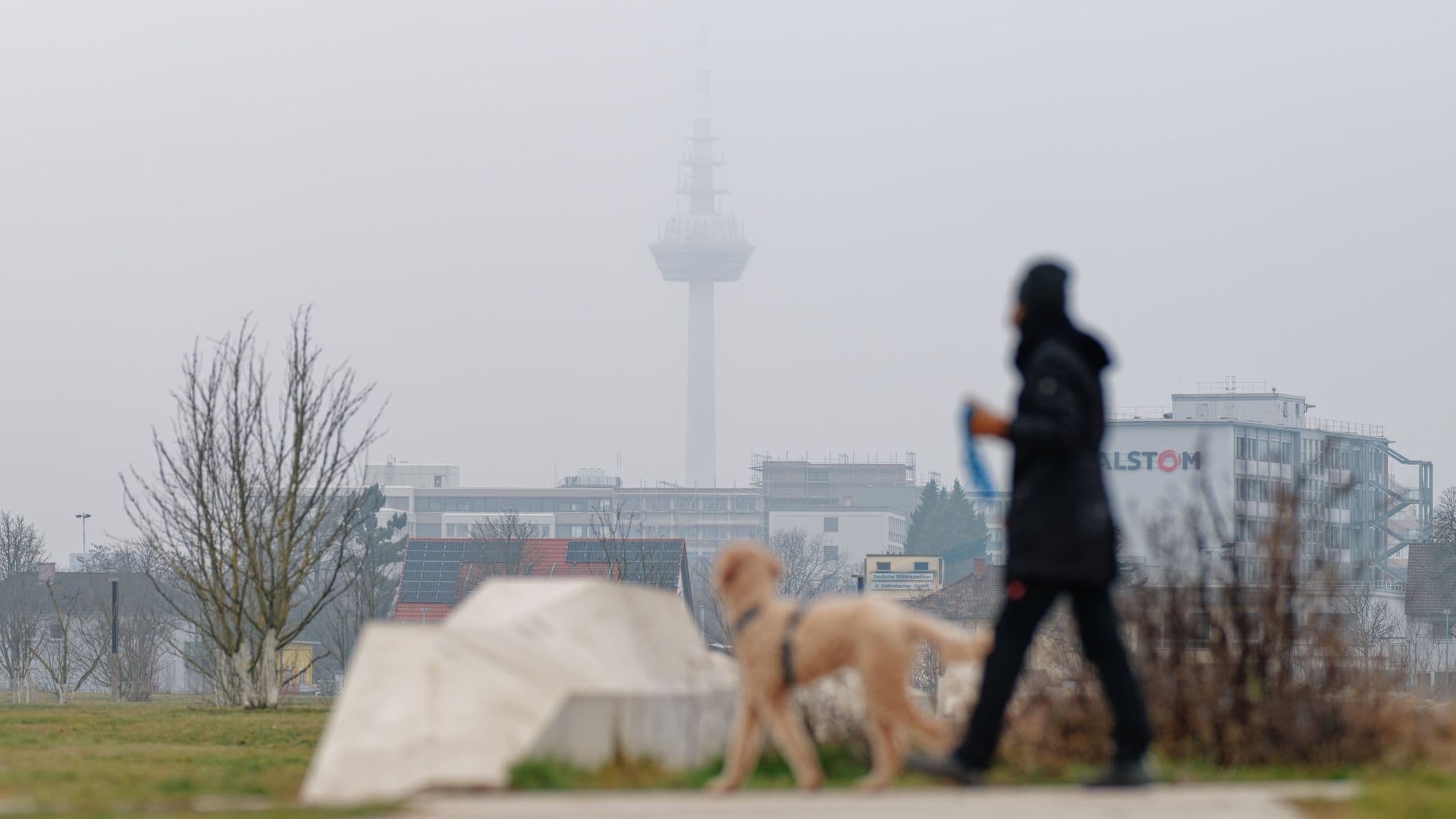 Wetter in Baden-Württemberg: Kurz sonnig, dann grau – Wolken ziehen im ...