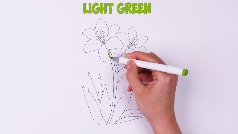 Colorful flower drawing | Coloring in
