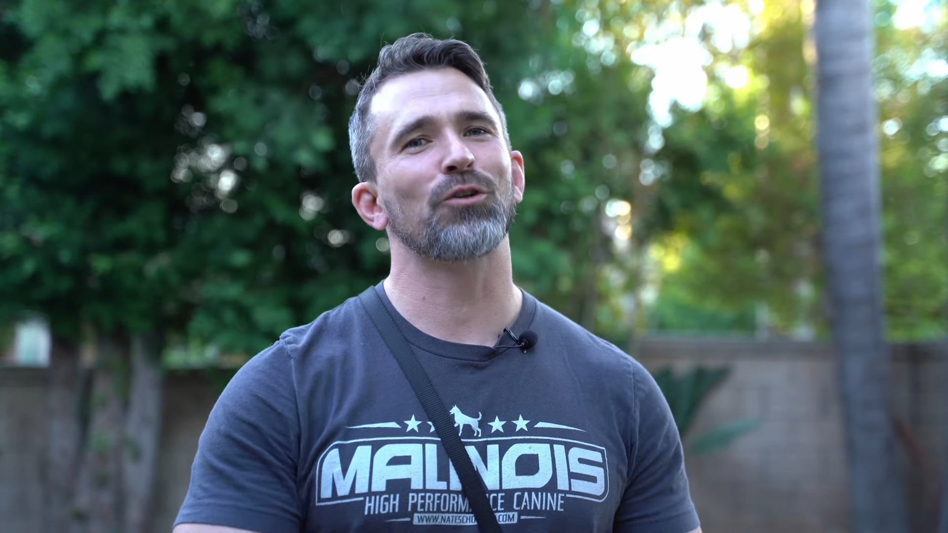 What “positive association” really means in name training