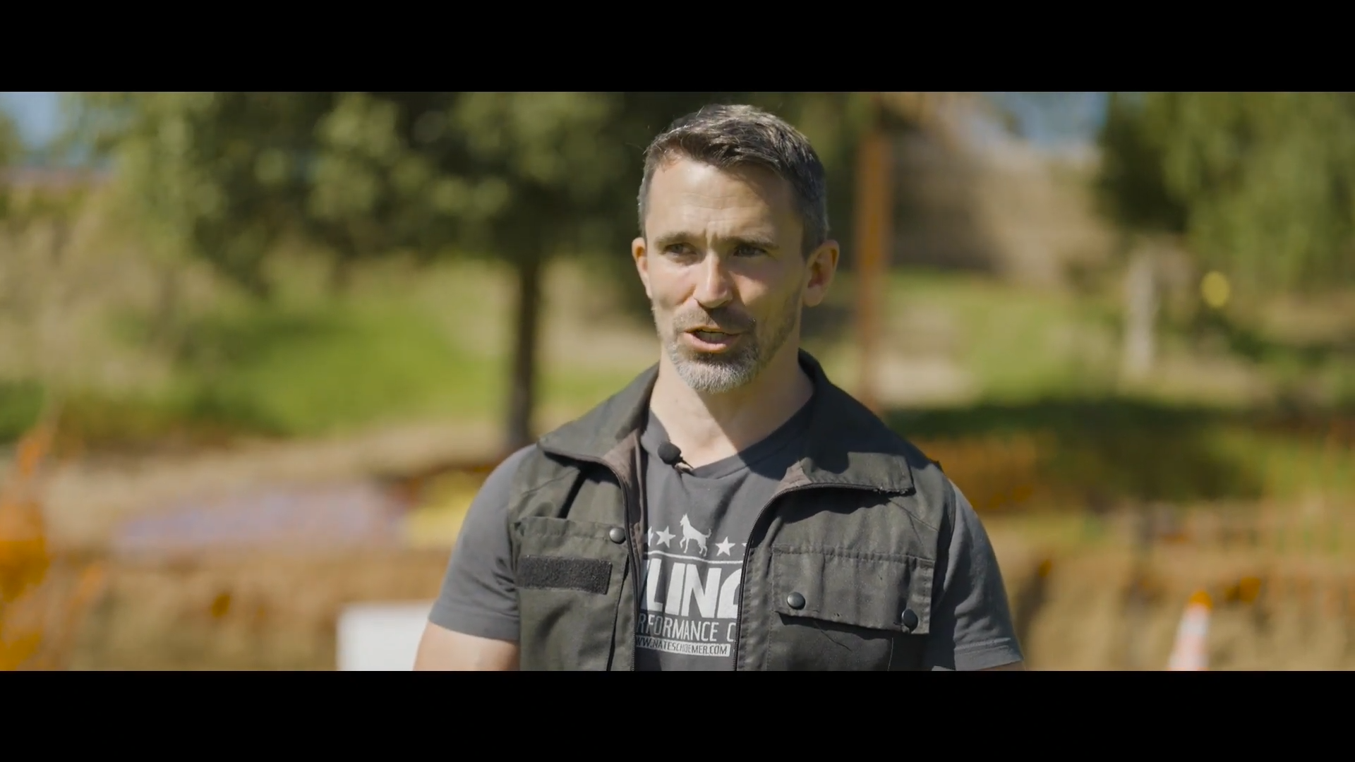 Why trying to comfort fearful dogs often makes the fear worse