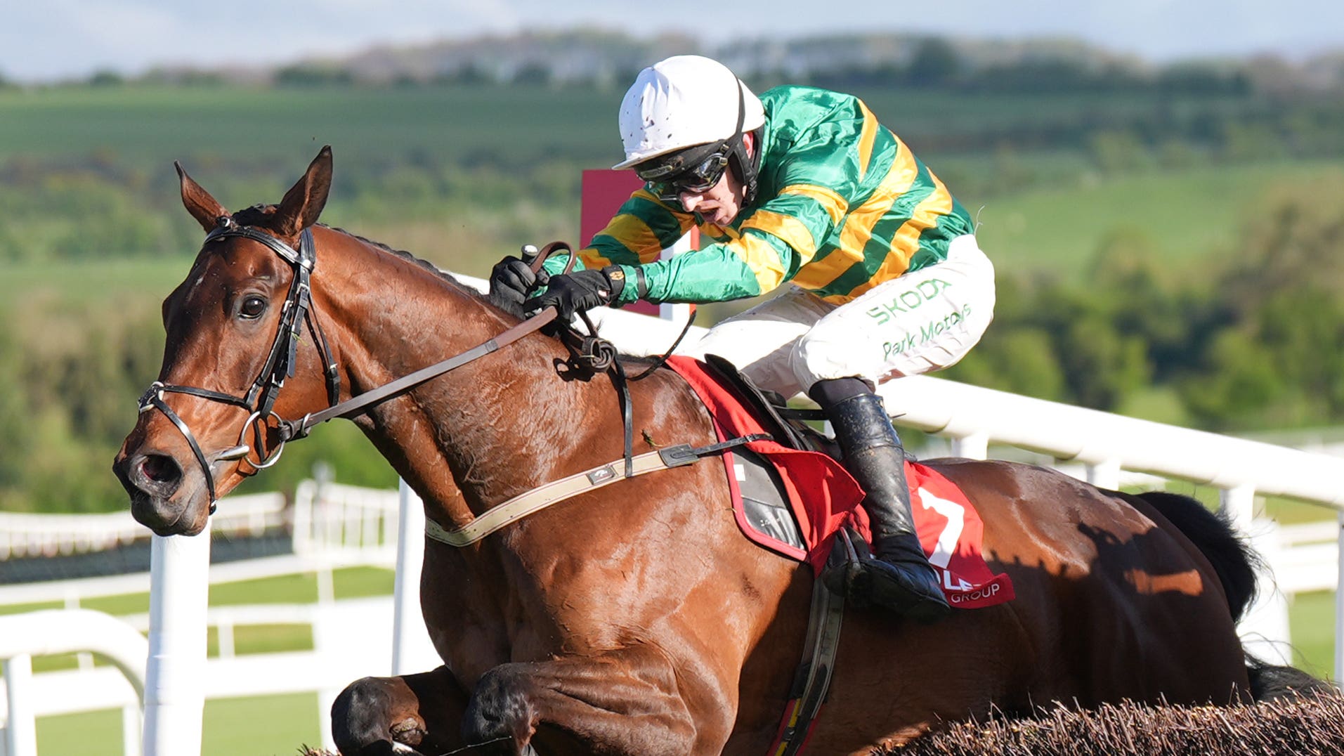 Spillane’s Tower set for first taste of Cheltenham on Saturday
