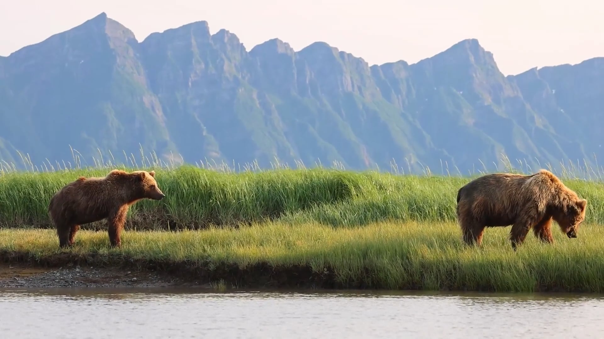 Katmai National Park: Drone tours Alaska's Valley of Ten Thousand Smokes