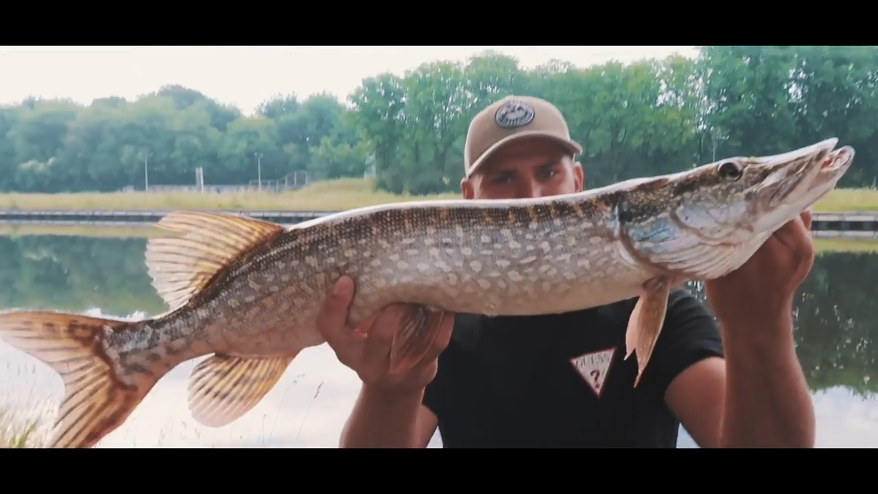 Jeder Wurf ein Treffer! Diese Schleuse ist voll mit Raubfischen