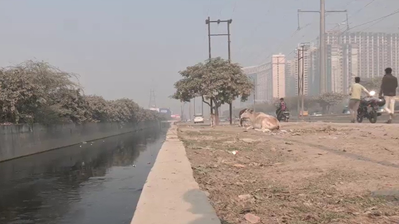 Reality check in Greater Noida exposes danger spots after techie's death