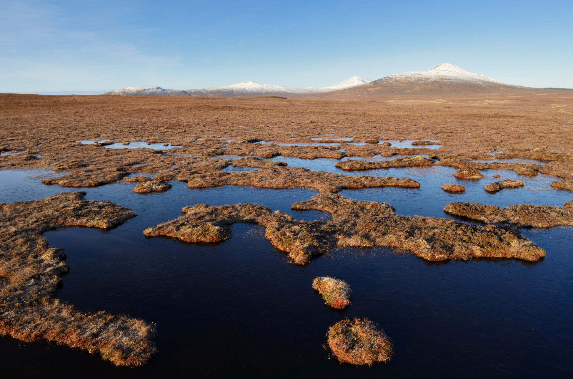 Redefining bog standard: Peatland ACTION is working for climate and ...