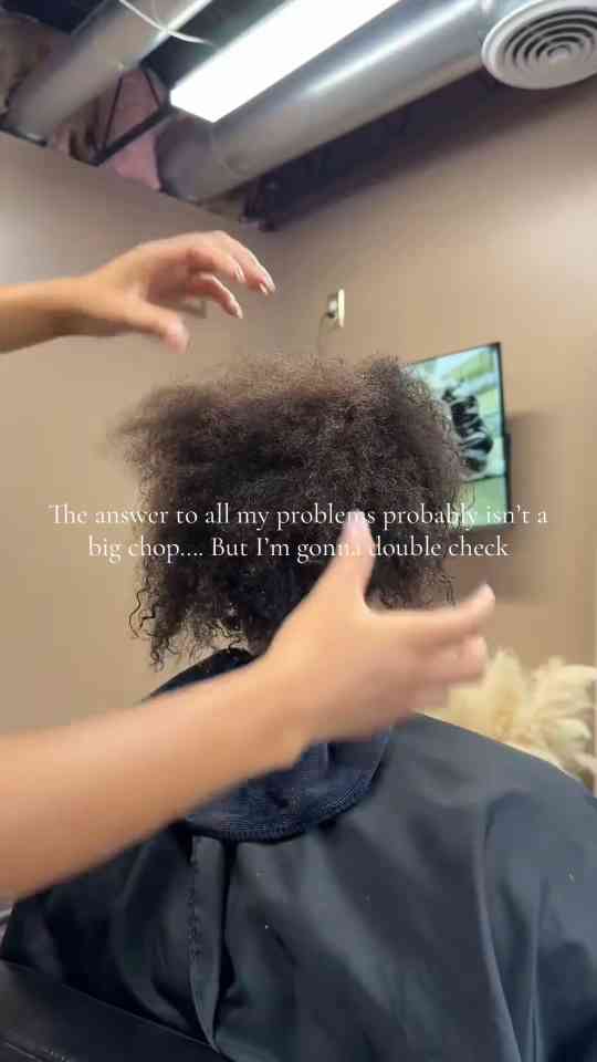 & it’s been a journey ever since 😭 #naturalhair #bigchop #4chair