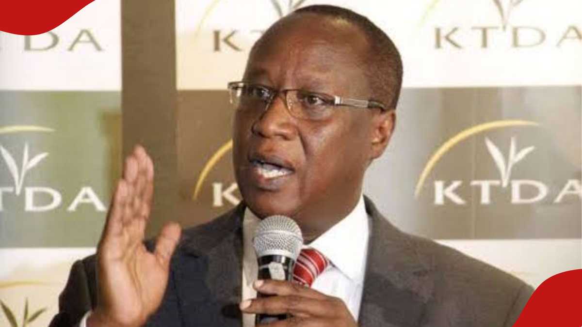 Kenyan CEO who was forced to retire from KTDA awarded KSh 9.5 million ...