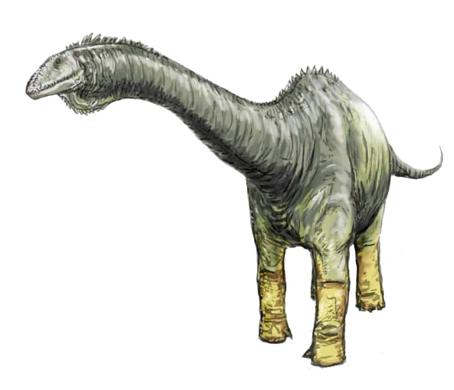 This massive 130-foot-long dinosaur once roamed America