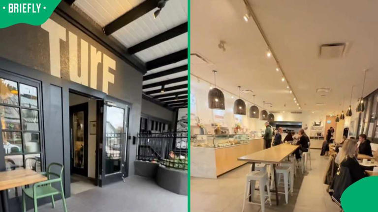 "It's like a co-working space": Expat in Canada shows why she's never ...