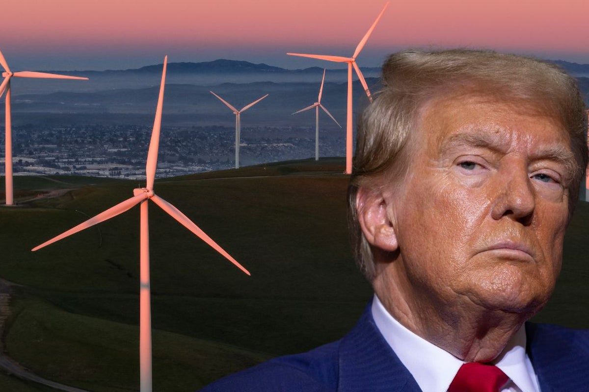 Trump fact-checked: China sells windmills to 'stupid' people?