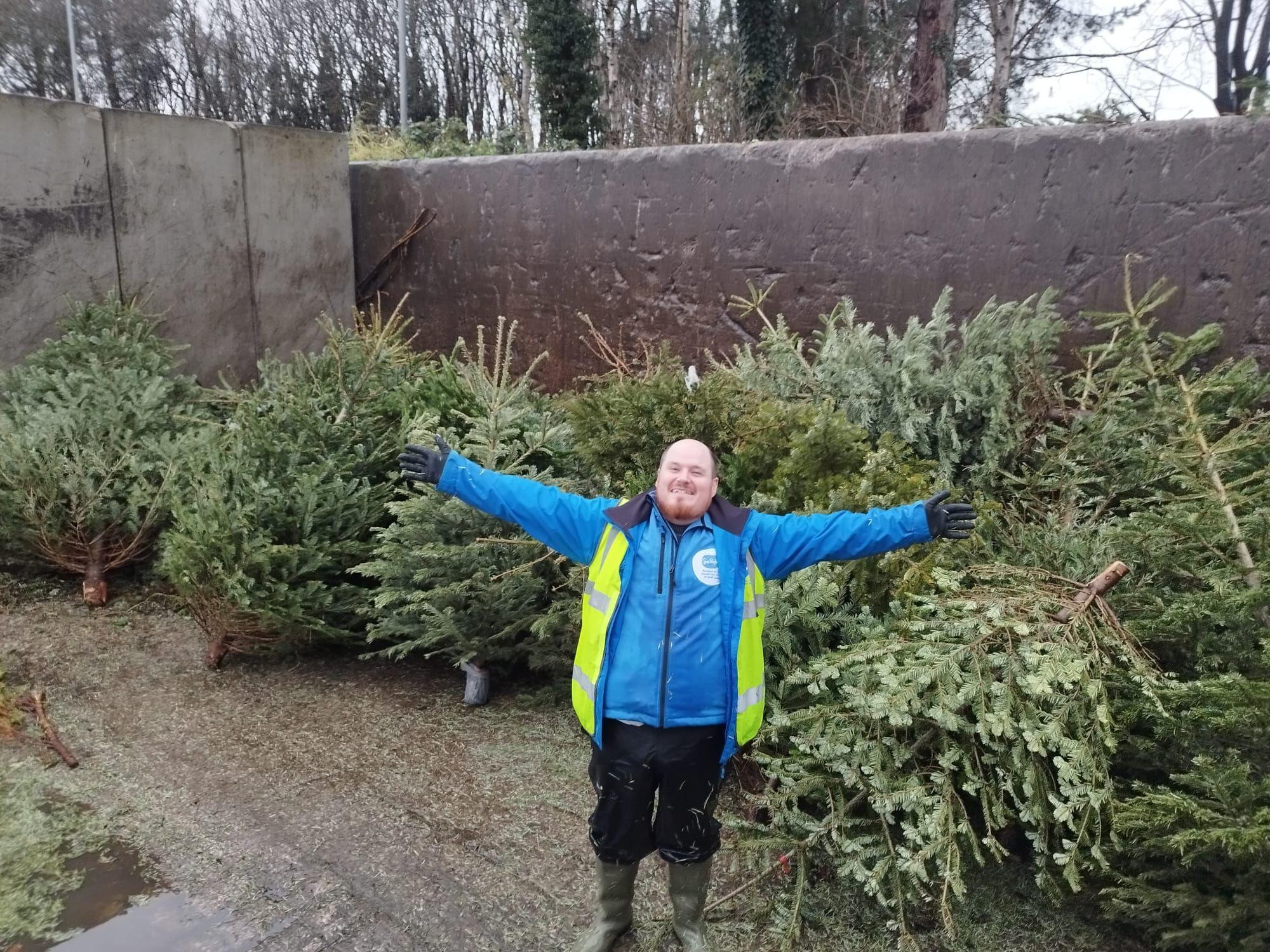 Sue Ryder's Christmas treecycling scheme grows to new heights in Leeds