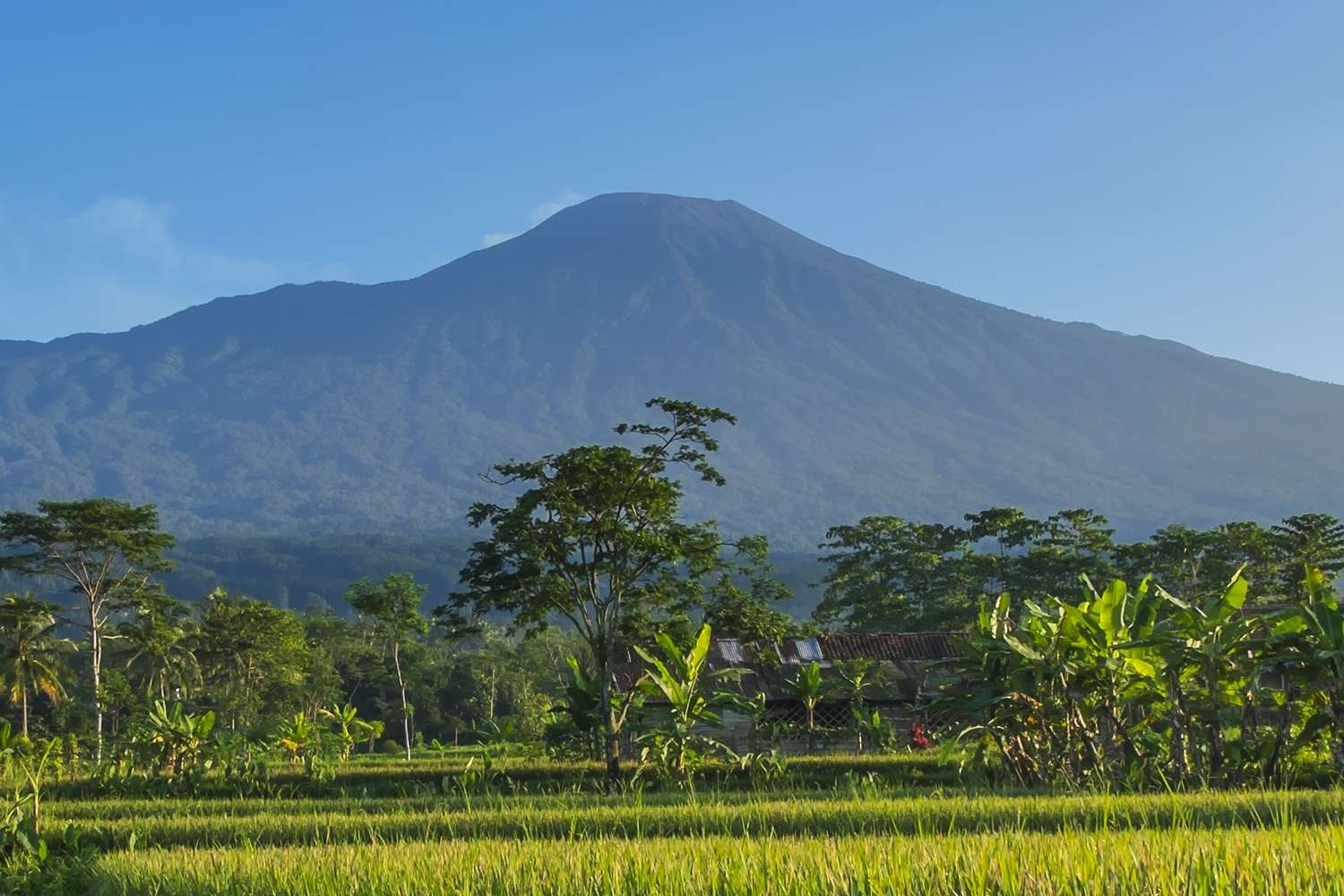 18-year-old boy found dead inside 65-foot ravine, 2 weeks after ...