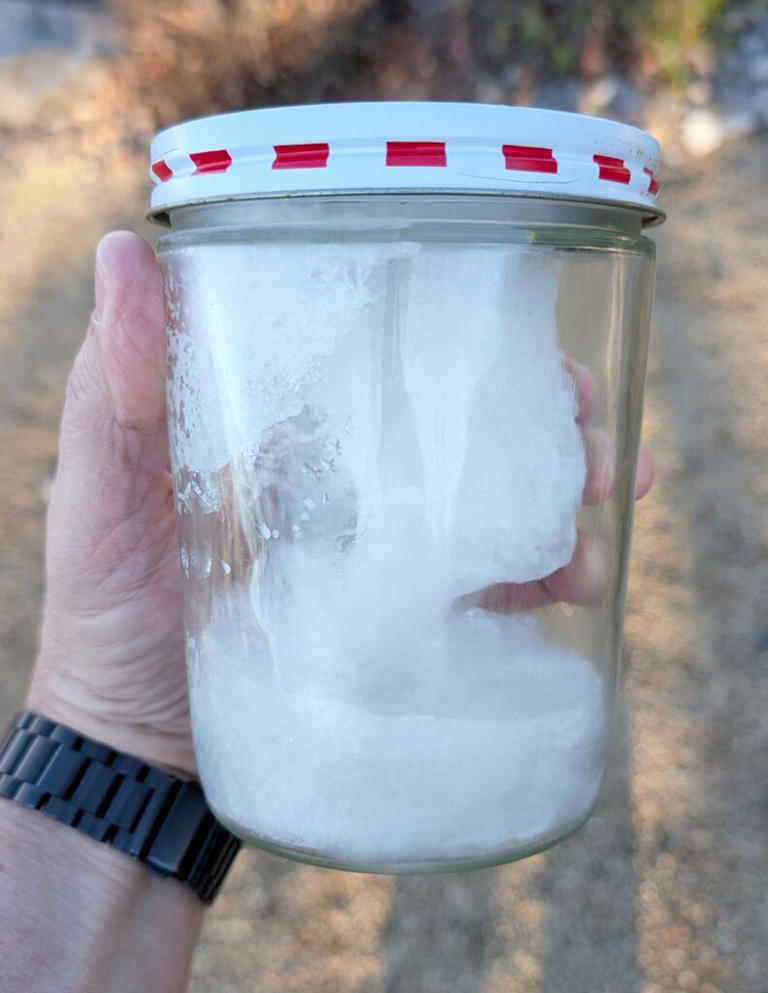 The world's oldest snowball celebrates 50 years frozen in time