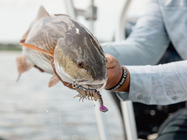 17 top new saltwater lures for 2026