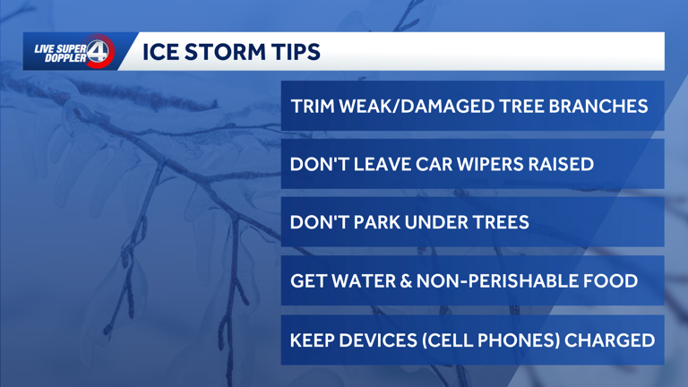 Freezing rain continues; most ice clinging to trees, roads