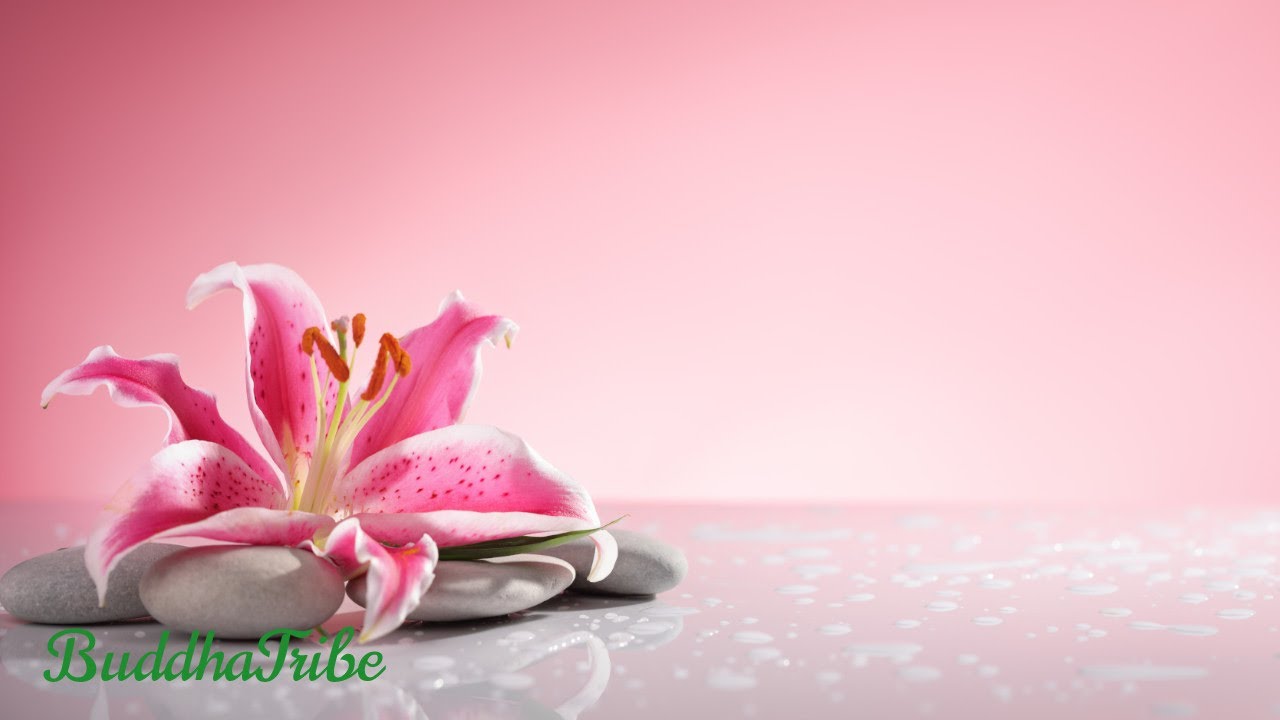 Serene nature scenes & calming music for relaxation | Peaceful ...