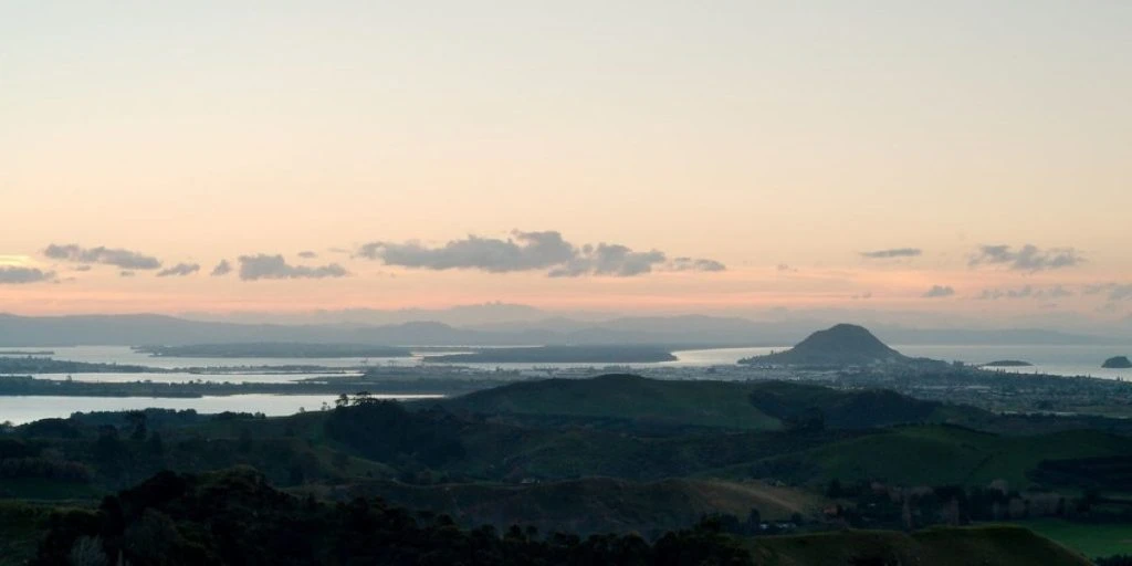 Deadly landslides strike New Zealand after heavy rain