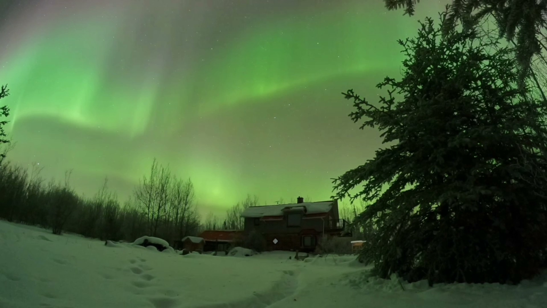 You have to see this multicolored aurora in Canada’s Yukon region