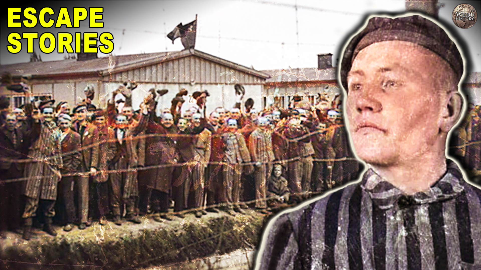 Inspiring stories about people who escaped the Holocaust