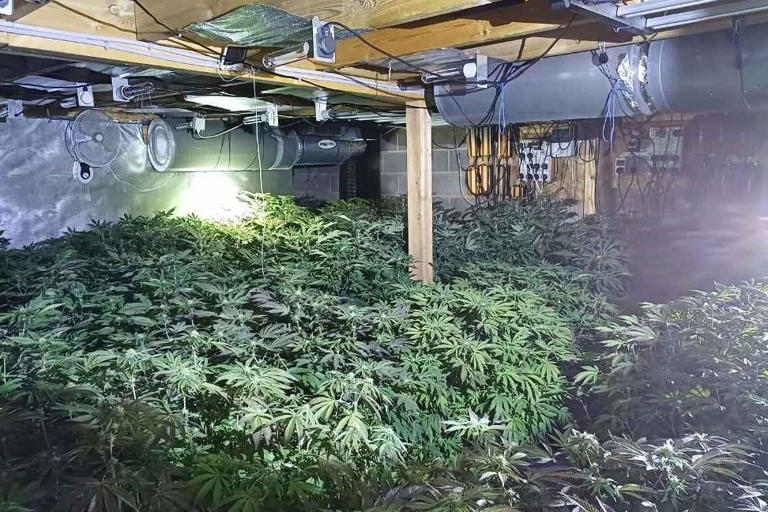Police discover drugs den in farm building near Doncaster