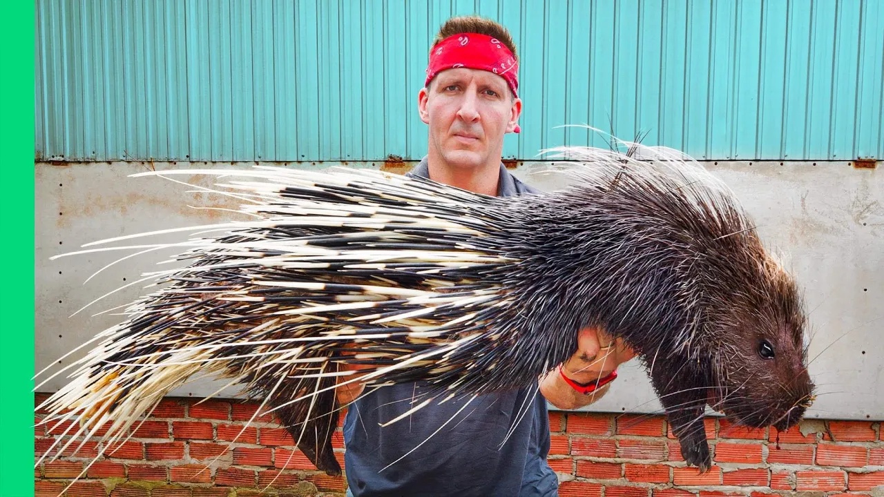 Watching a dangerous animal become a local delicacy