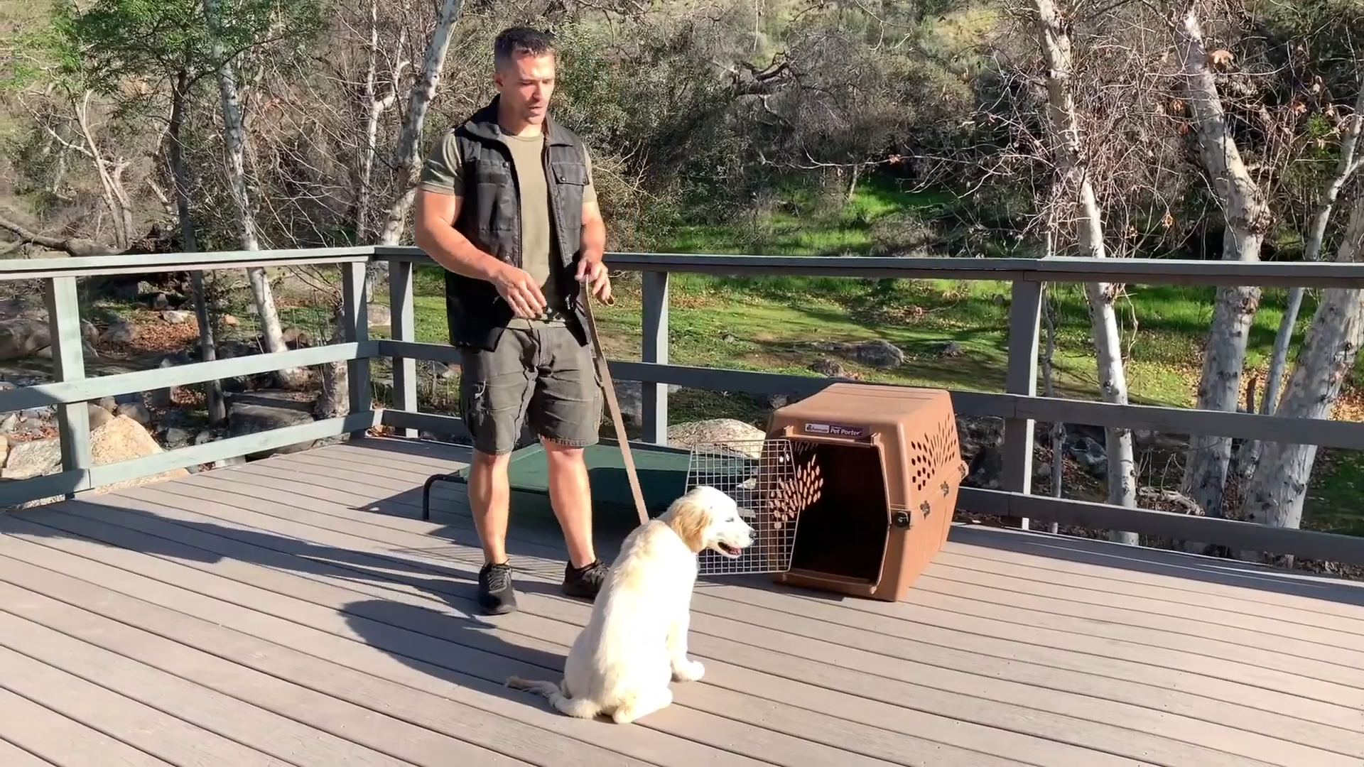 What “reaction to another dog” actually means in the CGC test