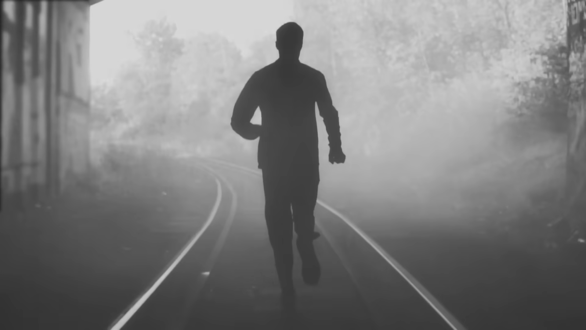 This train carried “no passengers” but hundreds were inside