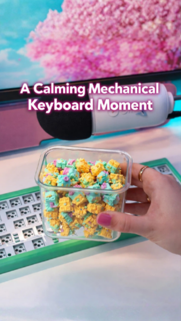 A calming mechanical keyboard moment