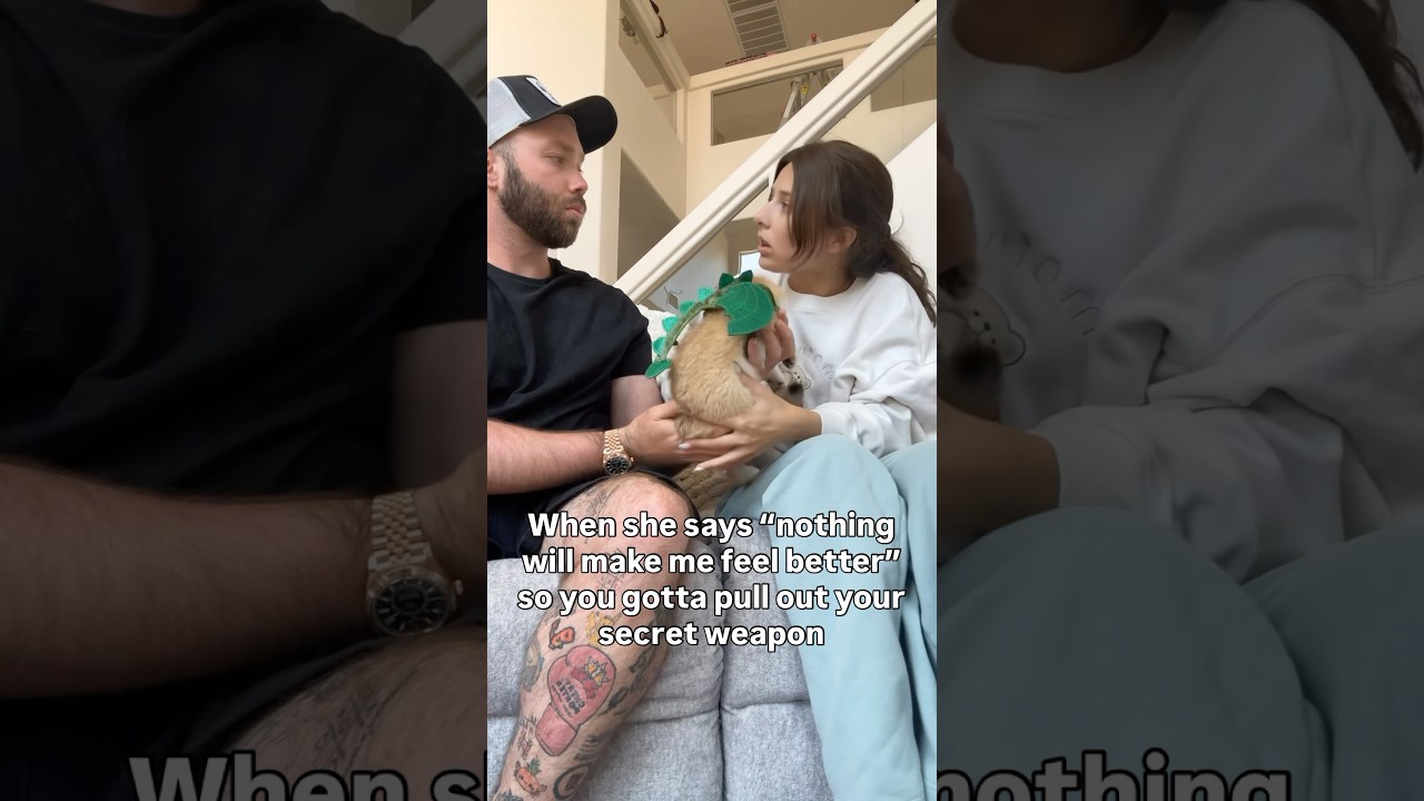 Confusing the cats by calling them the same name