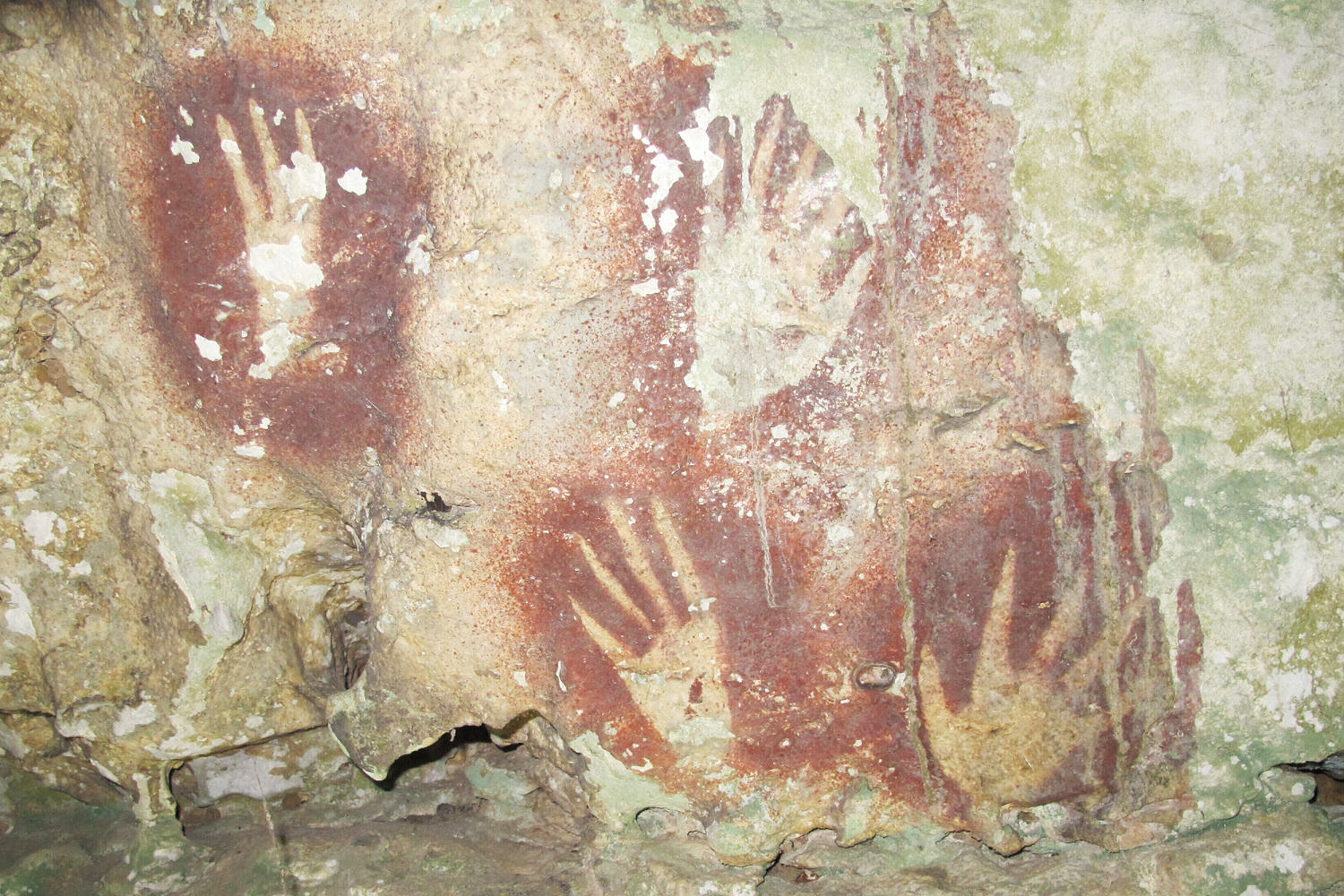 Hand stencil made almost 68,000 years ago is the oldest cave art ever found