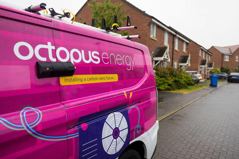 Octopus Energy's 'trick' cuts up to £100 off bills with 30-minute rule