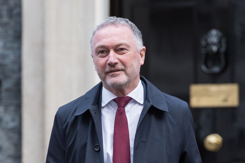 Government confirms local elections for 29 councils have been postponed