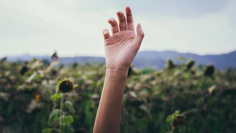 There's a muscle in your body that scientists say serves no purpose ...