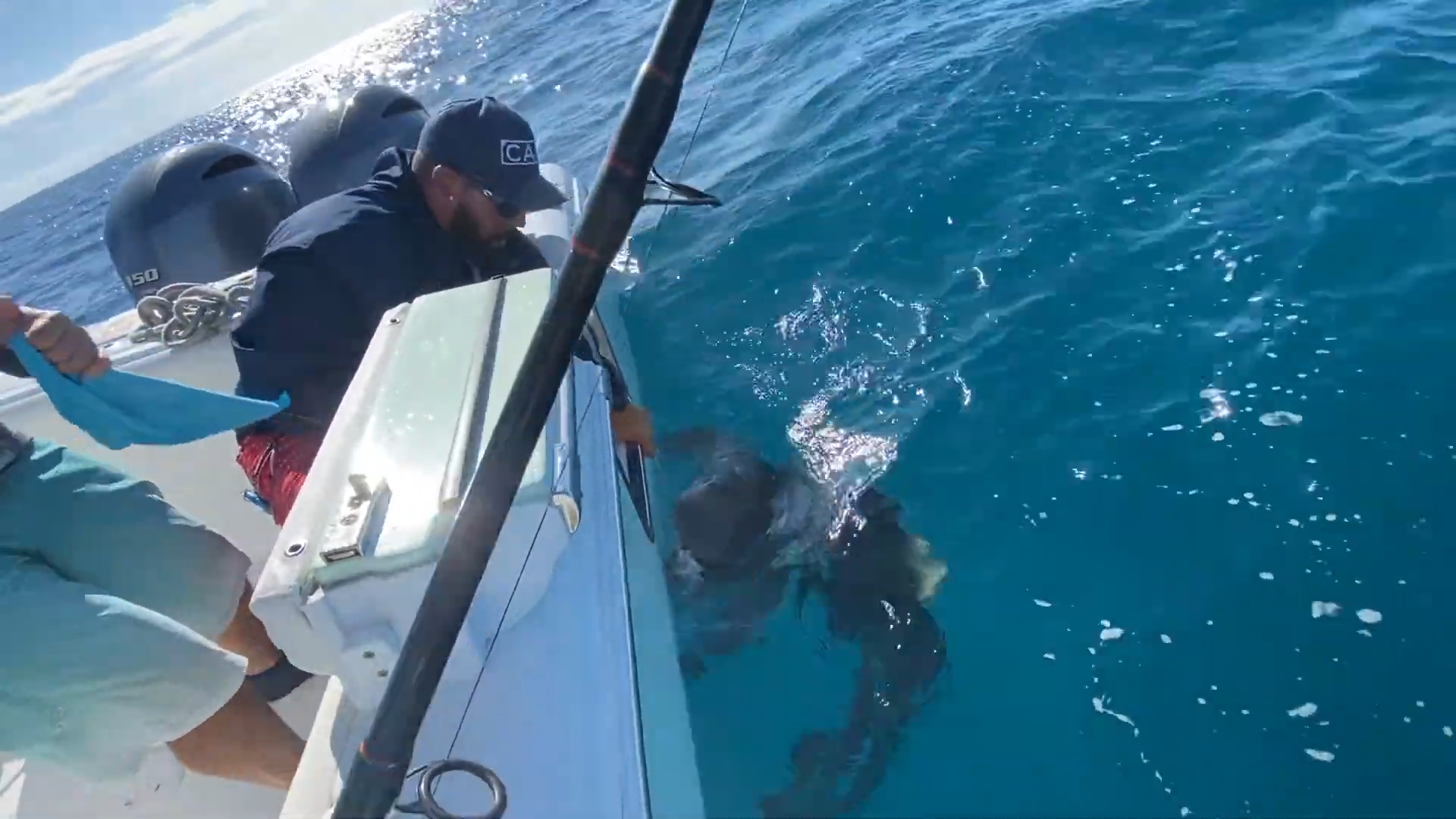 This sea monster fought back the moment everything went wrong on camera