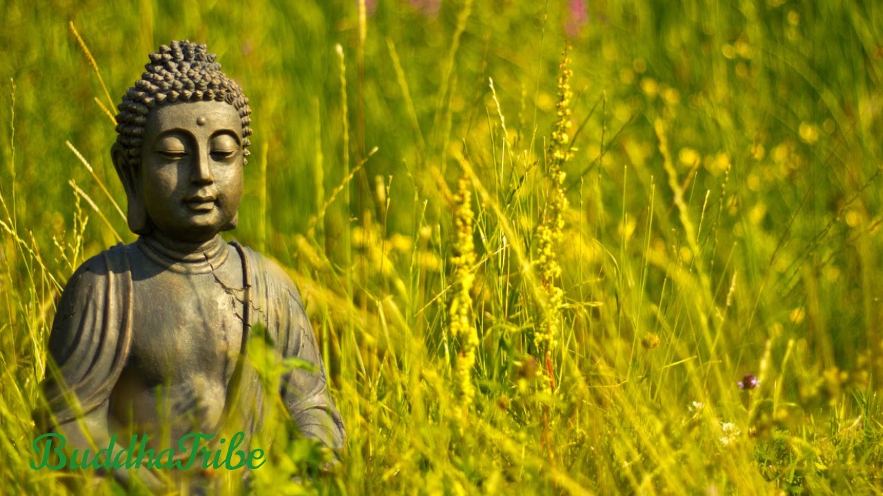 Yoga meditation music, yoga music for exercise, chakra music ...